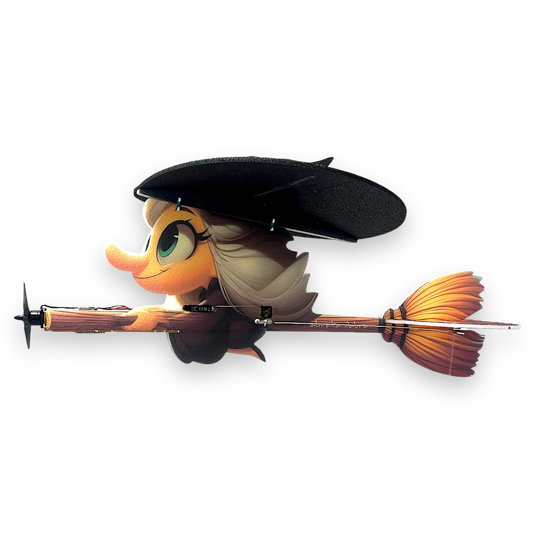 The Witch | RC Factory
